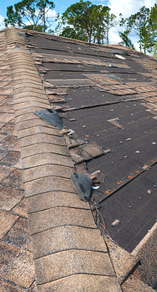 Don't Wait Until It Rains: The Benefits of Assessing Roof Damage | Blue ...