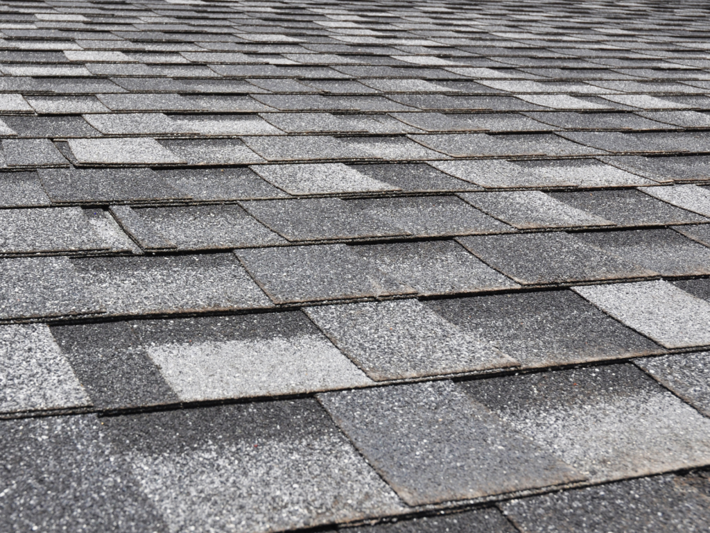 Roof Systems - Blue Frog Roofing